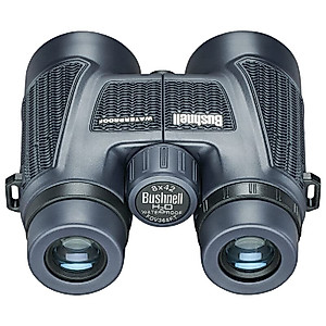 Bushnell H2O Waterproof/Fogproof Roof Prism Binocular, 8 x 42-mm, Black, Model Number: 158042