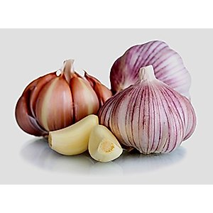 Garlic Bulb (10 Pack), Fresh Siberian HARDNECK Garlic Bulb for Planting and Growing Your OWN Garlic OR Eating