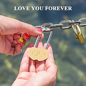 VeYocilk 3.5" 50mm Love Lock Double Heart Padlock Without Key for Lovers Wedding,Valentines,Anniversary,Travel(NO Key)