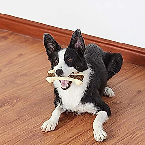 BETTEPROD Dog Chew Toys for Aggressive Chewers Large Breed,2 Pack Beef Flavor Indestructible Dog Teething Chew Toys Bones for Large/Medium/Small Puppies,Pet Toy with Durable Nylon