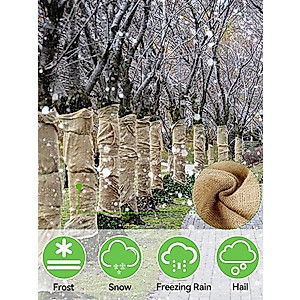 Cleverbrand BURLAP-40x12feet Plant Cover-40 Inches Wide x 12 feet Long-Burlap Garden & Plant Fabric, Natural