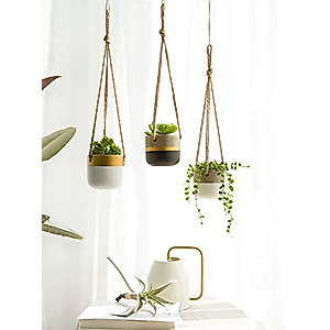 Dahey 3 Pack Small Cement Hanging Planter Succulent Pots with Jute Rope Hanger Modern Mini Concrete Flower Pots Indoor for Cactus Herb or Small Plants Home Decor, 3 Inch