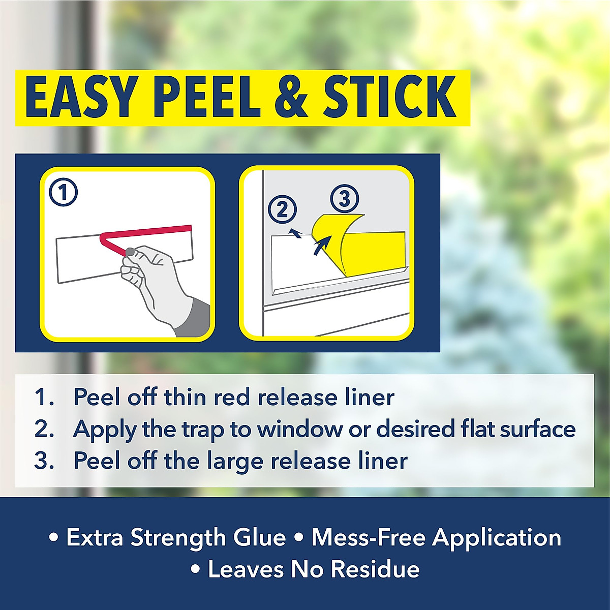 B&G Clear Window Fly Traps (30-Pack), Clear Fruit Fly Sticky Traps, Gnat Flypaper, Non-Toxic Glue, Odorless House Fly Strips, Durable Sticky Fly Traps for Indoors, Fly Paper Indoor for Home