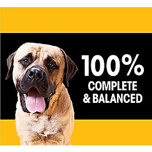 PEDIGREE For Big Dogs Adult Complete Nutrition Large Breed Dry Dog Food Roasted Chicken, Rice & Vegetable Flavor Dog Kibble, 36.4 lb. Bag