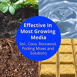 Bluelab PENSOILPH Soil pH Pen, Digital Meter and Water Test Kit, Also Used for Coco and Rockwool with Easy Calibration for Hydroponic System and Indoor Plant Grow, Clear