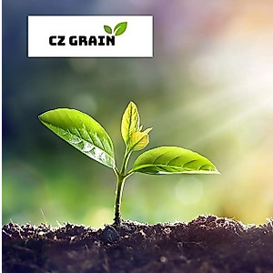 Copper Sulfate (Large Crystals) - 12 Ounces - Not for Human Consumption