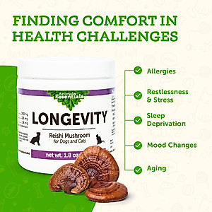 Animal Essentials Longevity Reishi Mushroom Supplement for Dogs & Cats - Healthy Cardiovascular & Liver Function, Supports Long Term Health, Mushroom Powder Extract, Antioxidant - 1.8 Oz (Pack of 1)