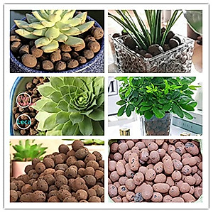 SiynannLawn 8LBS Expanded Clay Pebbles Grow Media Drainage Rocks for Potted Plants,Aquaponic,Aquarium,8-14mm Leca Balls for Hydroponics,Leca for Plants