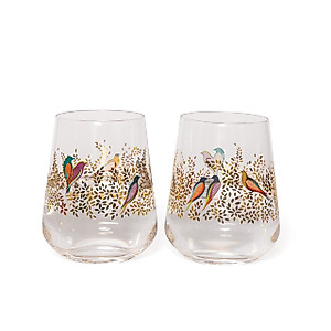 Spode Sara Miller London Chelsea Tumblers | Set of 2 | 14 Oz Stemless Glasses for Ros, Red, or White Wine | Colorful Birds Design | Handwash Only