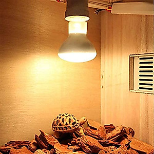 Qixivcom 2-Packs 75W Reptile Heat Lamp Basking Bulb E26 110V UVA Basking Spot Daylight Heat Lamp Glass Heating Lamp Reptile Heater for Bearded Dargon Turtle Aquarium Aquatic Lizard Chicken Coop