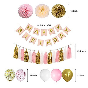 Pink and Gold Happy Birthday Decoration Set for Women Girls and Kids with Happy Birthday Banner, Hanging Tassels, Confetti Balloons, Flower Pompoms Party Decorations Supplies
