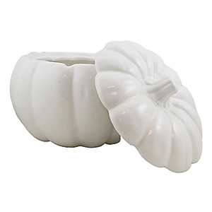 Ebros Gift Ceramic Stoneware White Harvest Pumpkin Bowl With Lid 6" Diameter (1)