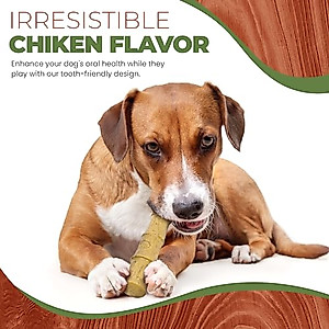 SPOT Bam-Bones Plus Bamboo Stick - Bamboo Fiber & Nylon, Durable Long Lasting Dog Chew for Aggressive Chewers – Great Toy for Adult Dogs & Puppies Under 90lbs, Non-Splintering, 9.5in, Chicken Flavor