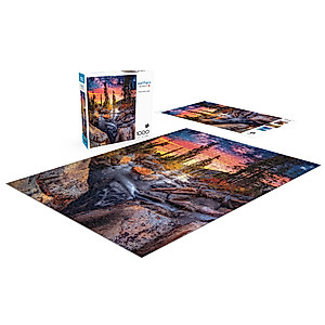 Buffalo Games - Earthpix - Forest Magic Hour - 1000 Piece Jigsaw Puzzle for Adults -Challenging Puzzle Perfect for Game Nights - Finished Size is 26.75 x 19.75