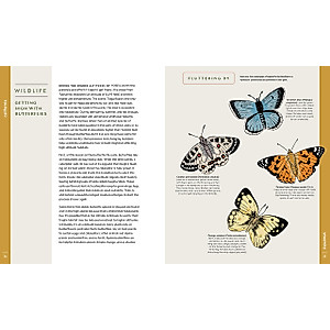 Scenic Science of the National Parks: An Explorer's Guide to Wildlife, Geology, and Botany