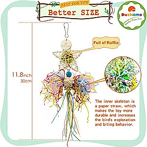 Duckiimo Bird Parrot Shredding Toys, Parakeet Chewing Foraging Toys, Bamboo Rattan Loofah Parrot Cage Hanging Shredder Toys for Parakeets, Conure, Cockatiels, Budgies, Amazon Parrots 9.5" 14.2"