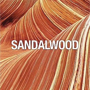 Curve Curve for Men, Men's Fragrance 2 Piece Gift Set, 2.5 Fl. Oz. Eau De Cologne and 6.0 Oz Deodorant Spray, 2 Count