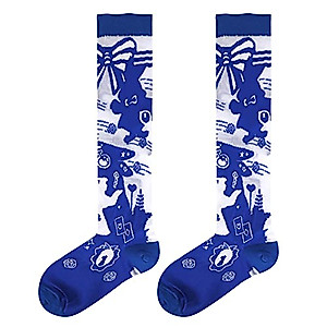 Benefeet Sox Womens Girls Cute Lace Knee High Socks Blue Sheer Mesh Knee High Stockings Transparent See Through Ultra Thin Silk Fancy Silly Cat Patterned Printed Long Stocking Socks, Blue Bow Cat