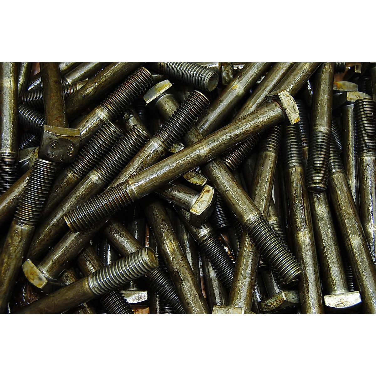 (20) Square Head 1/2-13 x 5 Bolts Unplated A307 3/4" Sq