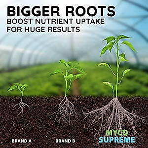 Mycorrhizal Fungi Root Enhancer for Plants - Bigger, Stronger, Healthier Roots, Use in Soil and Mycorrhizae Hydroponic - Super 20X Concentrated - Trifecta Myco Supreme (57 Grams / 2 OZ)