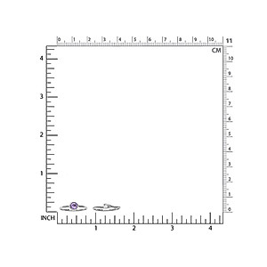 Silvershake Set of 2 Natural Amethyst White Gold Plated 925 Sterling Silver Bezel Set and Textured Band Ring Size 7.5