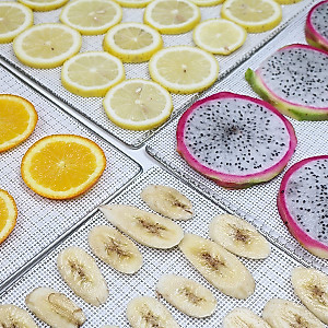 Kispog Silicone Mesh Dehydrator Sheets, for Food Dehydrator & Freeze Dryer, Premium Non-Stick Silicone Reusable, 6 Pcs/sets 14x14 in…