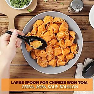 Hiware 12-piece Asian Soup Spoons, Rice Spoons, Chinese Won Ton Soup Spoon - Notch and Hook Style, Black