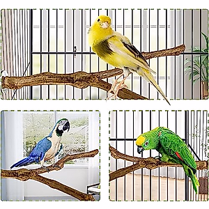 kathson Natural Parrot Perch Bird Stand Pole Wild Grape Stick Paw Grinding Fork Parakeet Climbing Standing Branches Toy Chewable Cage Accessories for Small Budgies Cockatiels Lovebirds 4PCS