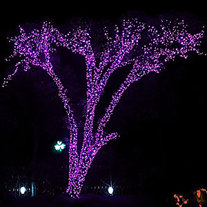 Dazzle Bright 240 LED Halloween String Lights, 78 FT Connectable Waterproof Fairy Lights with 8 Modes for Indoor Outdoor Party Yard Garden Christmas Decorations (Purple)