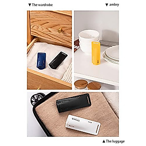 SuanlaTDS 1 Pcs Shoe Deodorizer Insert, Shoes Desiccant Deodorant Smell Remover, Closet Moisture Absorber Home Supplies