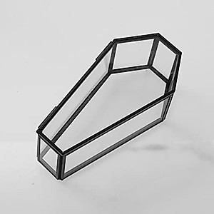 libproqia Small Coffin Glass Jewelry Box Black Trinkets Glass Coffin Terrarium Gothic Halloween Storage Vintage Coffin Box Glass Vampire Keepsake Display Organizer