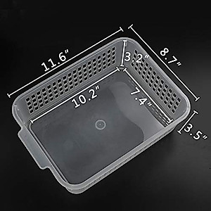 Qskely Rectangular Plastic Storage Organization Trays Baskets in Clear, 6-Pack