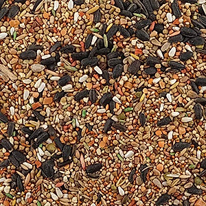 Living World Premium Cockatiel Mix, 2 Pounds