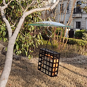 10" Glass Rain Cover for Wild Bird Feeder Outdoors - Weather Guard S Hook Hanging - Protective Dome Baffle - Clear (Dia. 25CM)