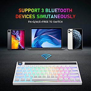 Bluetooth Mechanical Gaming Keyboard with 19 RGB Backlight Mini 61 Key Multimedia Knob Rechargeable 4400mAh Battery Type C Wired/Wireless for PC Mac Mobile Phone Gamer Typist (White/Blue Switch)