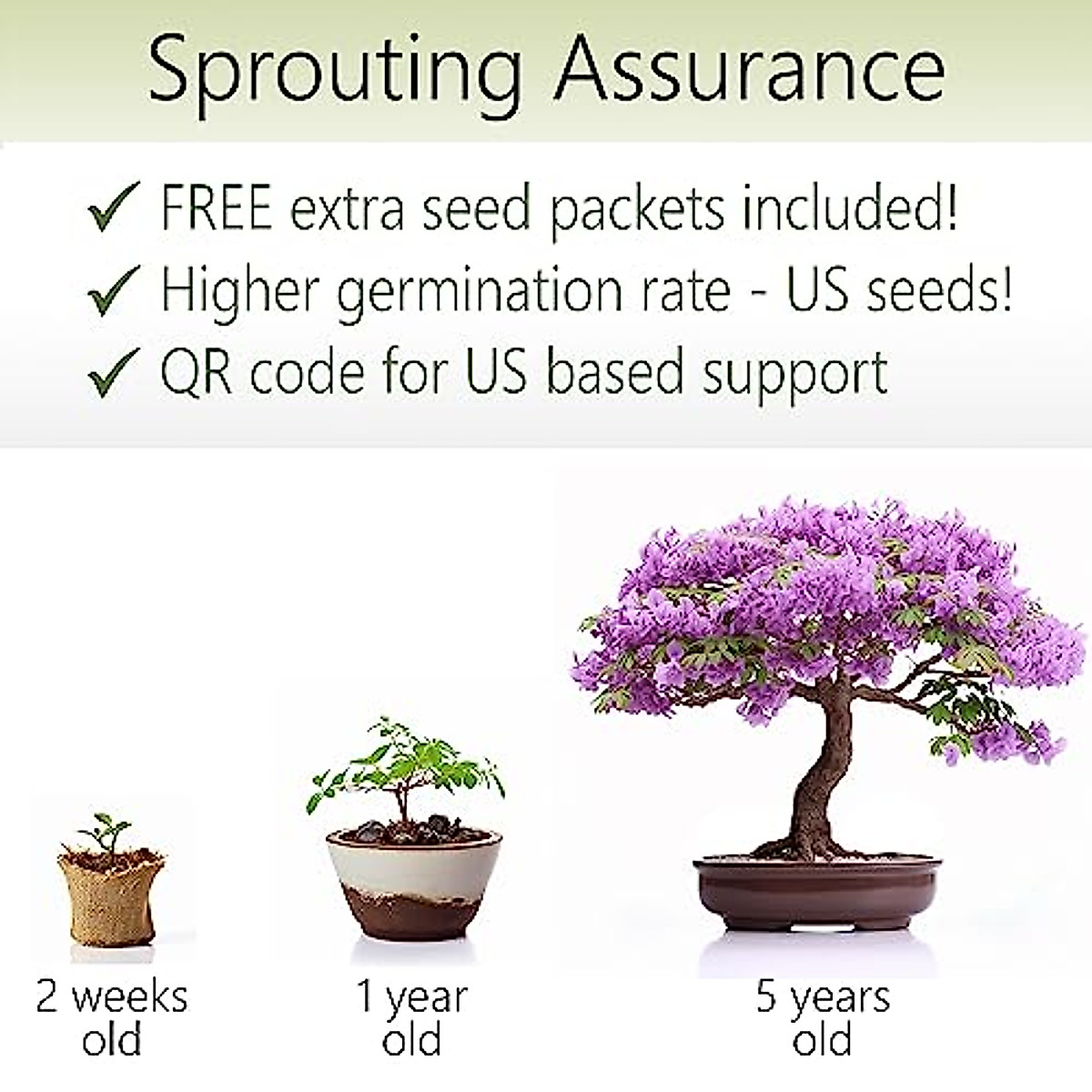 Bonsai Starter Kit – 1x Bonsai Tree | Complete Indoor Starter Kit for Growing Plants with Bonsai Seeds, Tools & Planters – Gardening Gifts for Women & Men