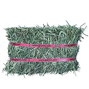 Grandpa's Best Timothy Hay Mini Bale, 10 Lbs (Packaging may vary),Brown