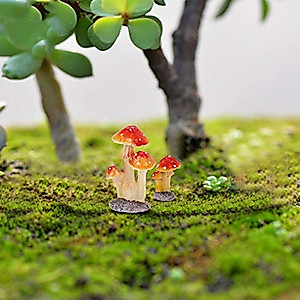 DOITOOL 6pcs Mini Mushroom Fairy Garden Miniature Figurines Mushroom Resin Figures for Garden Ornaments Plant Pots Bonsai Crafts Micro Landscape Decoration