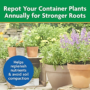 Miracle-Gro Moisture Control Potting Mix - Soil for Indoor & Outdoor Containers, Added Fertilizer Feeds Up to 6 Months, 8 qt.