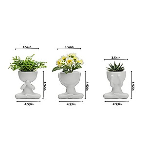 3 Pack Ceramic Succulent Plant Pot, Creative Human Shaped Planter, Decorative Resin Succulent Planter Vase Human Face Flower Pot Plant Container Bonsai Holders Desktop Flower Table Art Statue, White