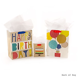Hallmark Birthday Gift Bag Assortment (Pack of 3: 2 Large 13", 1 Small 6") White and Kraft, Balloons and Cake