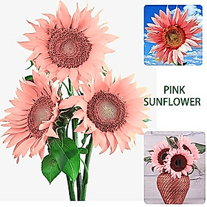 1000+ Mix Sunflower Seeds for Planting Heirloom and Non-GMO Easy to Plant and Grow - 10 Varieties Seeds for Outdoor Garden