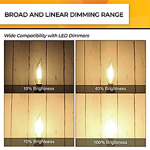 Hizashi LED Candelabra Bulbs 60 watt Equivalent 2700K Soft Warm White, Dimmable Chandelier Light Bulbs, 90+ CRI 6W 550LM, CA11 Flame Tip E12 LED Candle Bulb, UL Listed - 12 Pack