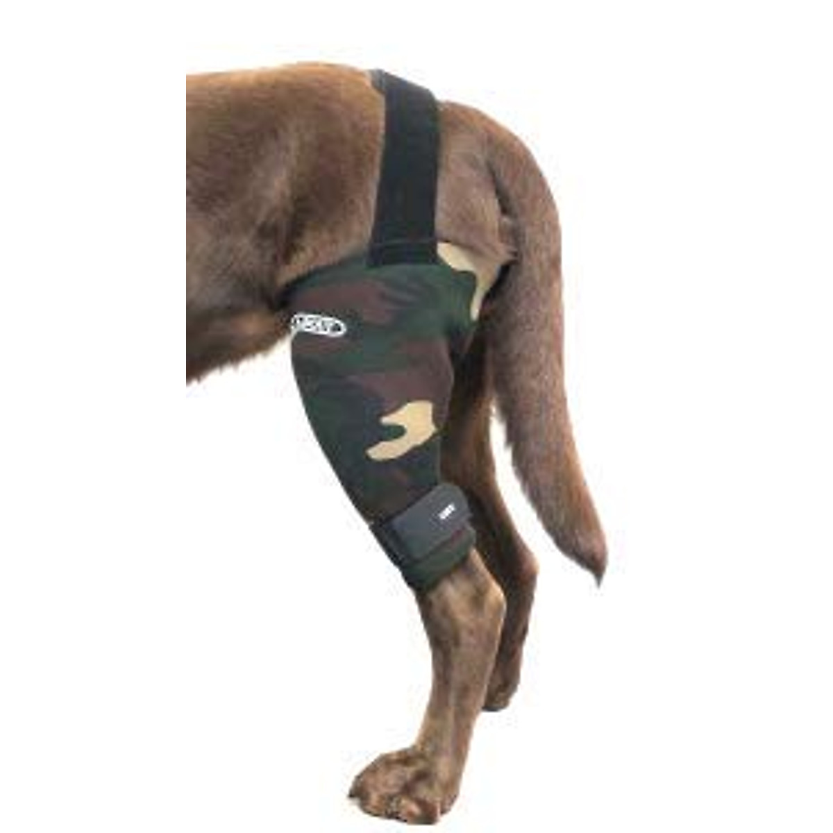 WALKABOUT Harnesses Camouflage Knee Brace for Dogs, Treat ACL, CCL Injury, Arthritis, Joint Pain, Fatigue and Stress with The Knee Brace (Medium-Large Right)