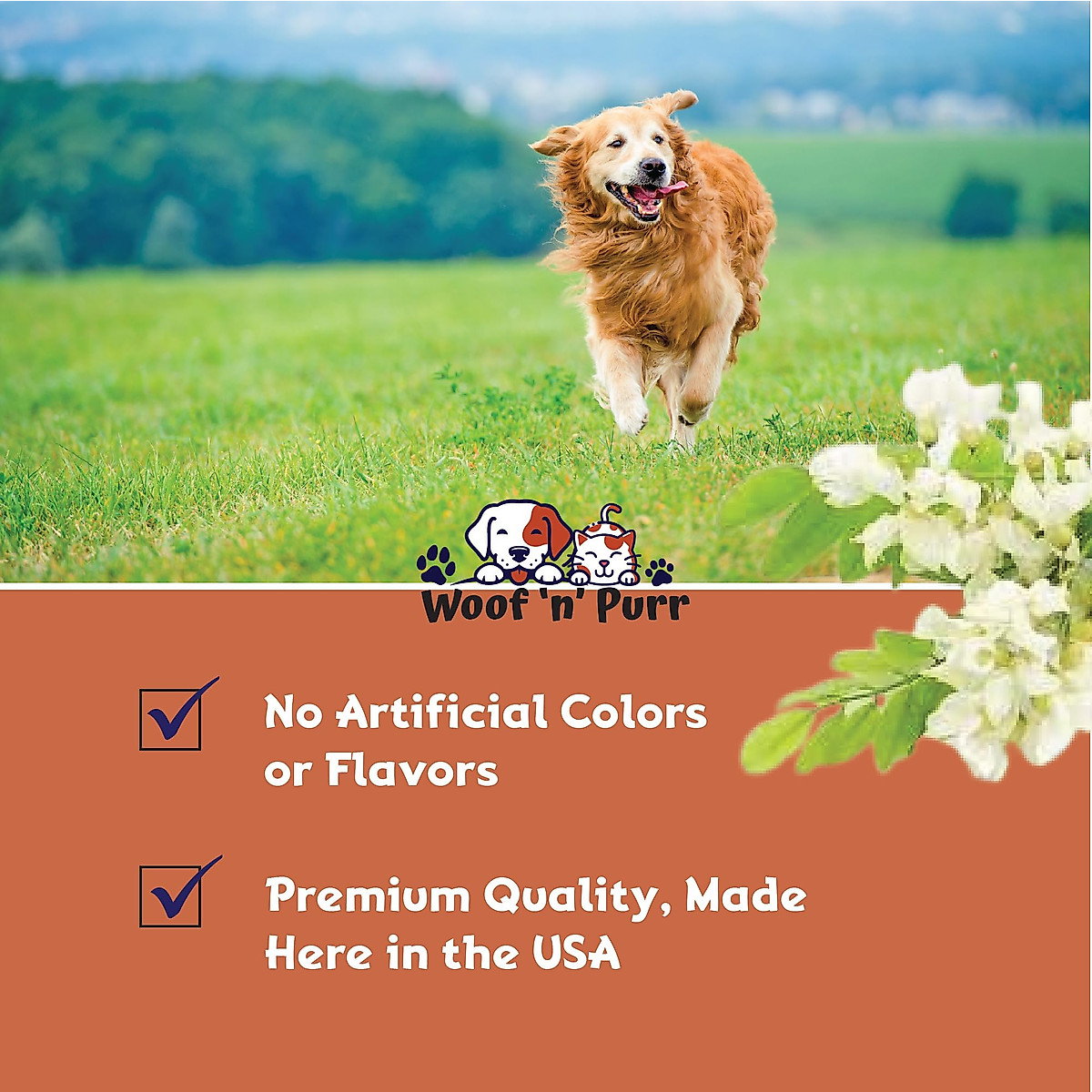 Dog Glucosamine - Supports Hip & Joint Health, & Much More - Glucosamine for Dogs Hip and Joint Supplement - Glucosamine for Dogs - Dog Joint Supplement - Glucosamine Chondroitin for Dogs - 1 fl oz