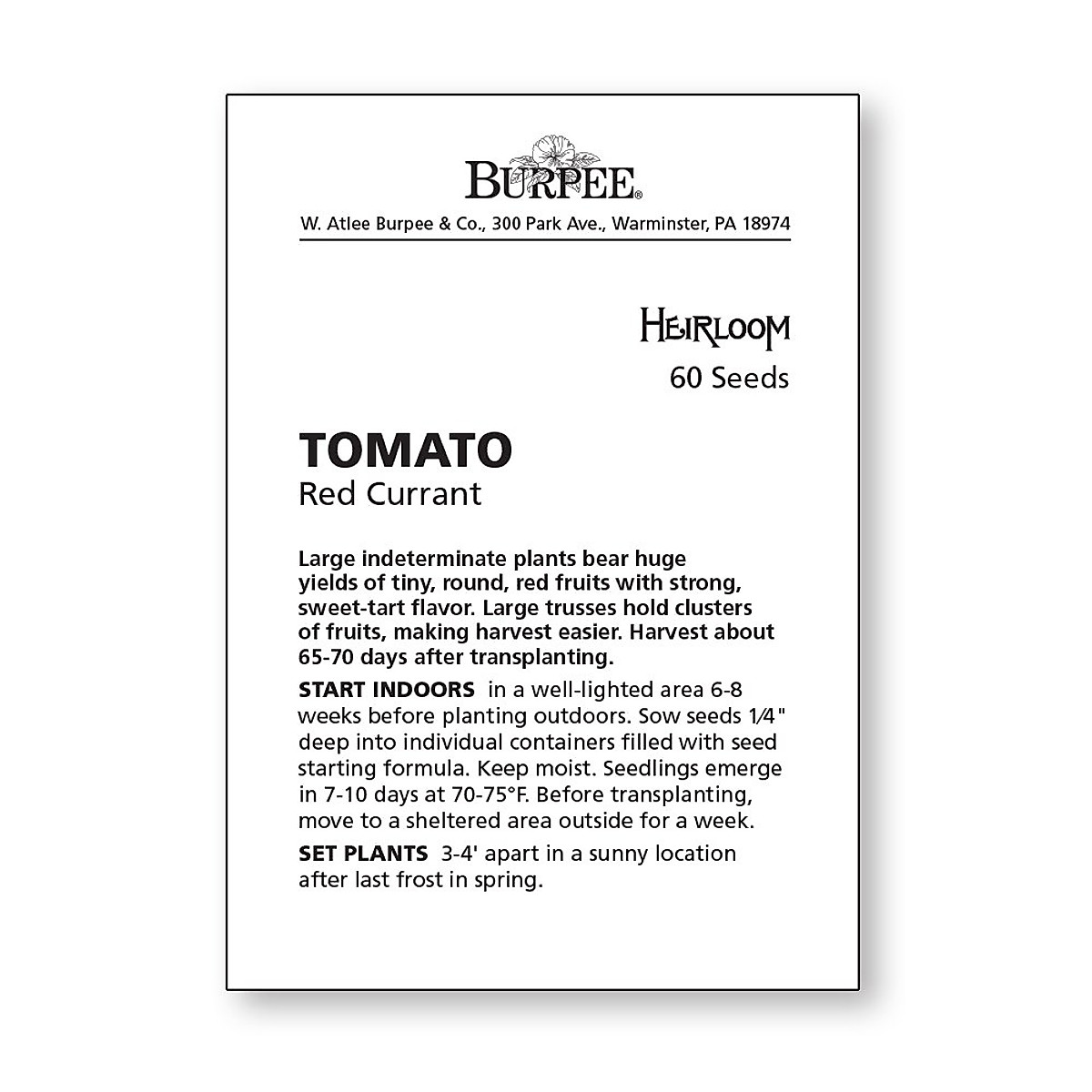 Burpee 'Red Currant', Red Cherry Tomato, Sweet Flavor, 60 Non-GMO Seeds