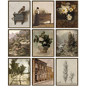 ANERZA 9 PCS Vintage Wall Art Decor, Farmhouse Wall Prints for Bedroom, Rustic Posters for Room Aesthetic, Wall Collage Kit Pictures for Living Room, Cottagecore Dorm Gallery Home Decor