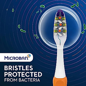 Oral-B Pro-Health Pulsar Battery Toothbrush, Soft, Blue , 2 Count (Pack of 1)