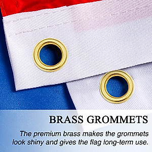 XIFAN Premium Heavy Duty Lmanburg Flag, 3x5 FT Double Sided L'Manberg Dream SMP Banner, Vibrant Print Double Stitched Indoor Outdoor Decoration