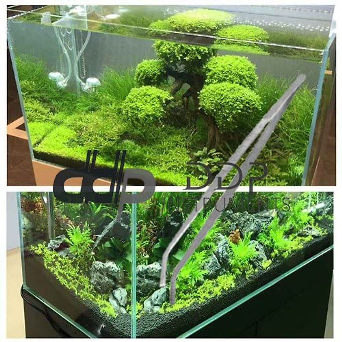 DDP 24" Surgi Grade Stainless Steel Curved Tweezers